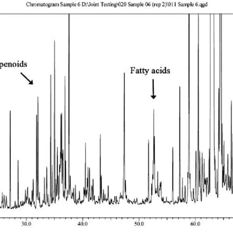 An Example Of A Total Ion Chromatogram Tic Of The Total Particulate Download Scientific