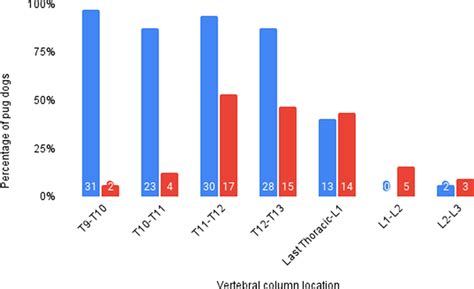 Graphical Representation Of Vertebral Segments Affected By Caudal
