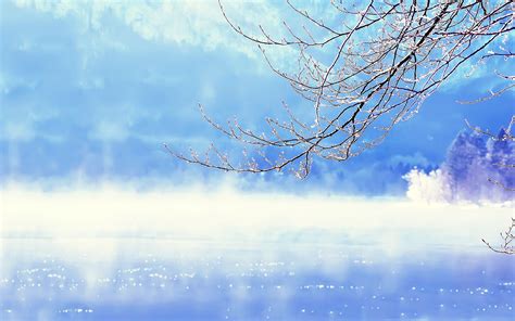 Winter Branches Wallpapers Wallpaper Cave