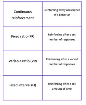 RBT Flashcards BACB RBT Exam Study Prep By ABA Resource Shop TPT