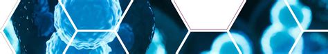 Humanized Models For Greater Immuno Oncology Preclinical Accuracy