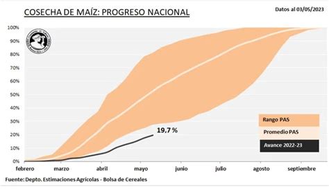 La Cosecha De Girasol Finalizó Con Una Producción De Casi 4 Millones De