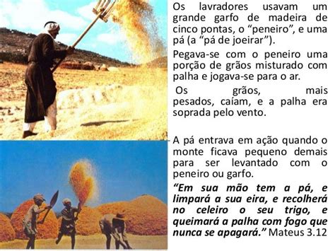 O Trigo E O Joio