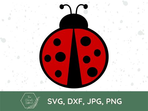 Lady Bug Svg Png  Insect Svg Bug Svg Preschool Or Kindergarten