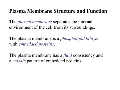 Ppt Plasma Membrane Structure And Function Powerpoint Presentation