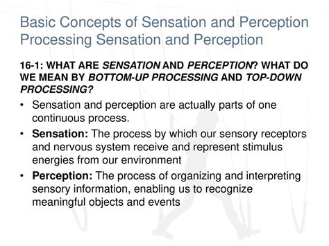 Basic Concepts Of Sensation And Perception Ppt Download