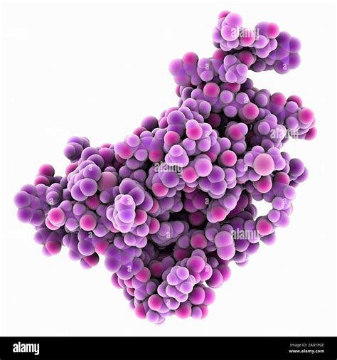 Human Prion Protein Molecular Model Prions Are Abnormal Proteins That