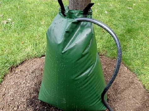 Aquabag For Watering Greenmax Green Solutions