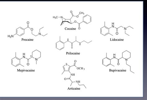 261 Topical And Injectable Local Anesthetics Flashcards Quizlet