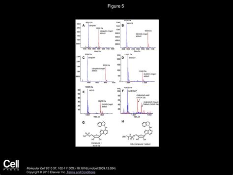 Volume 37 Issue 1 Pages January 2010 Ppt Download