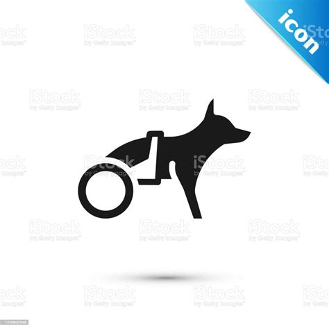 白い背景に隔離された車椅子のアイコンの灰色の麻痺犬ベクトル ペットのベクターアート素材や画像を多数ご用意 ペット 車いす 1人