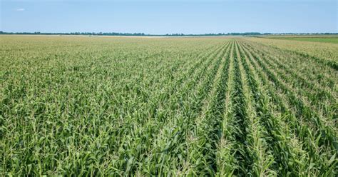 How Direct Air Capture DAC Technology Works Verde AgriTech Blog