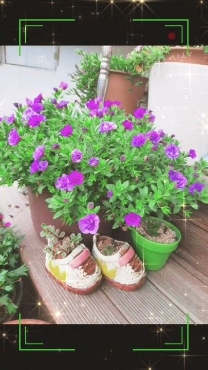 할아버지작품 장독화분~~와우 솜씨가 대단해요~~ Youtube