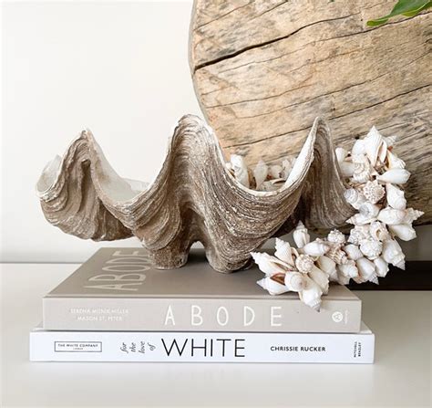 Shell Cluster Tassels Spiked Rustic White And Wood