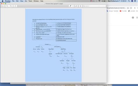 Solved Preview File Edit View Go Tools Window Help Q Chegg