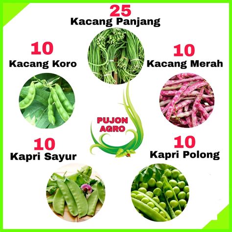 Jual Paket 5 Jenis Benih Kacang Kacangan Sayur Sayuran Jenis Kacang Koro Kacang Kapri Kacang