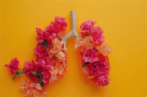 Imagen Creativa Que Simboliza La Conciencia De La Salud Pulmonar Foto