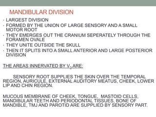 Trigeminal Nerve PPT