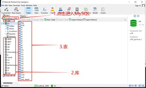 Mysql Navicat Csdn