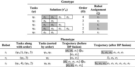 Individual Representation And Conversion From Genotype To Phenotype Download Scientific