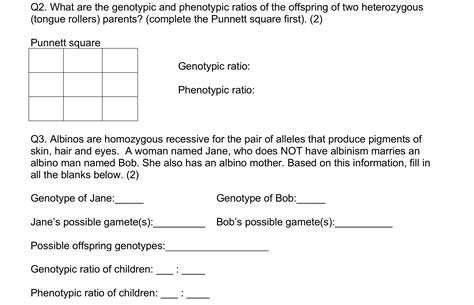 [solved] The Question And Punnett Square Q2 What Are The Genotypic