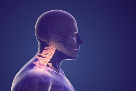 Exploring The Science Behind Adjustments In Upper Cervical Chiropractic Care