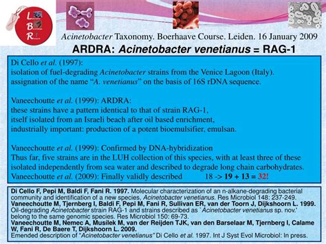 Ppt Acinetobacter Taxonomy And Identification Mario Vaneechoutte Laboratory Bacteriology