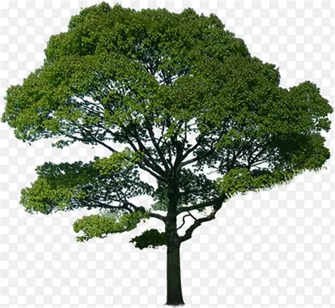 Png Png