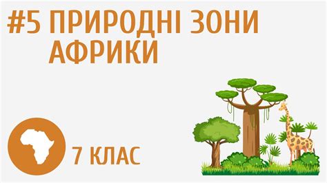 Природні зони Африки 5 Youtube