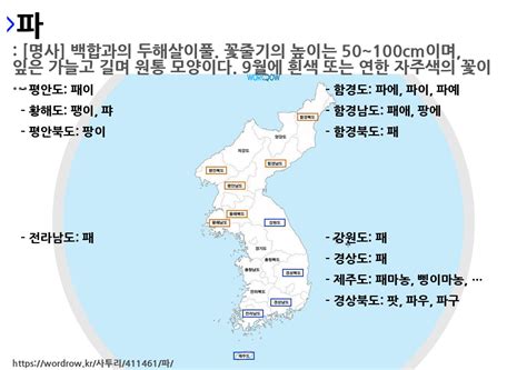 파의 뜻과 지역별 사투리 방언