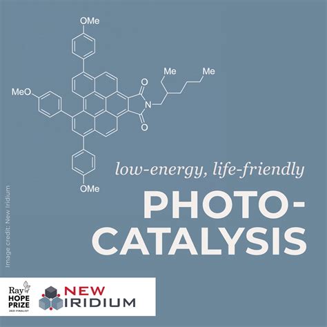 The Best 50 Biomimicry Examples And Inventions Of All Time