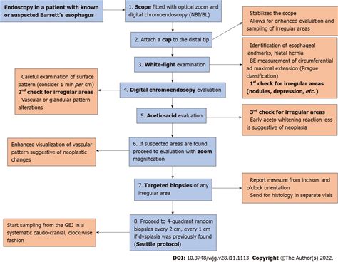Advanced Imaging And Artificial Intelligence For Barretts Esophagus What We Should And Soon