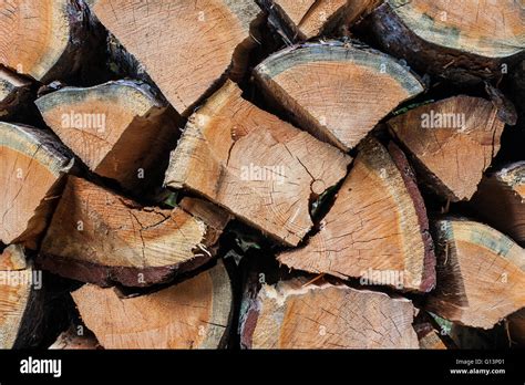 Cut Pieces Of Pine Tree Texture Closeup Stock Photo Alamy