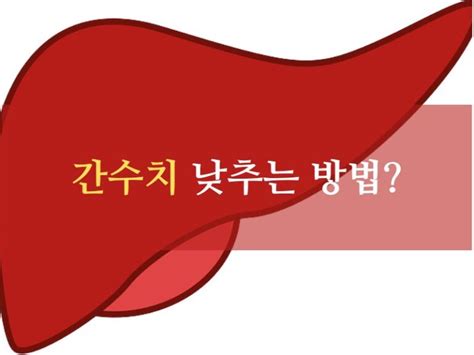 처방용 우루사 100mg 효능 성분복합 우루사와의 차이점 실용적인 건강 팁