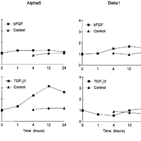 Kinetics Of α5 And β1 Integrin Subunit Induction By Tgf β1 And Bfgf In