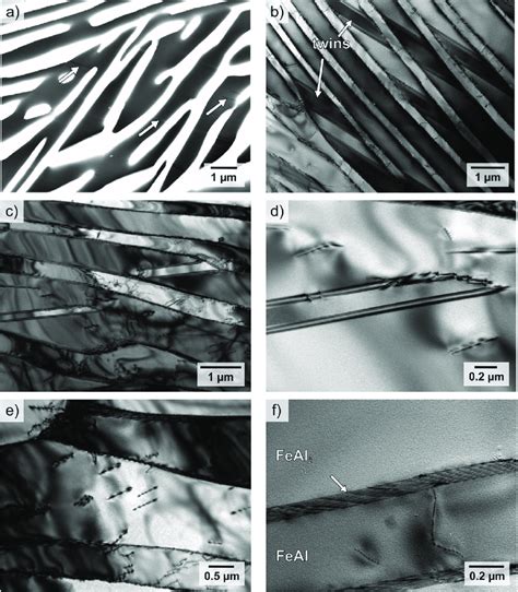 Microstructure After 125 H Exposure To 700 °c At 100 Mpa And A True