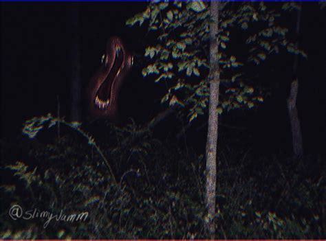 The Cleaver Rtrevorhenderson