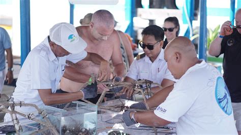 Bali Hai Cruises Coral Reef Restoration Program With Mars Inc Bali
