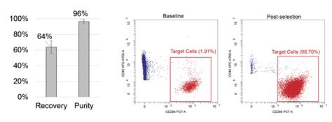 Cd138 Plasma Cell Enrichment For Fish Applied Cells