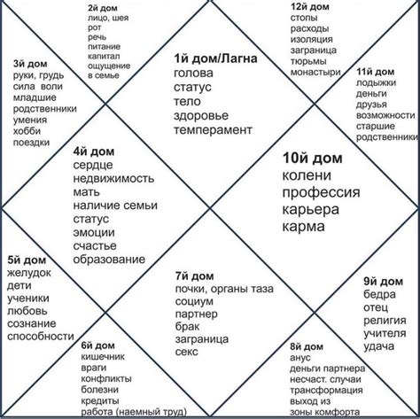 Натальная карта дома джйотиш