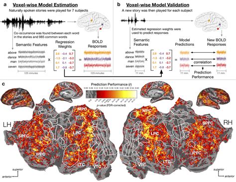 Human Auditory Perception Theunissen Lab