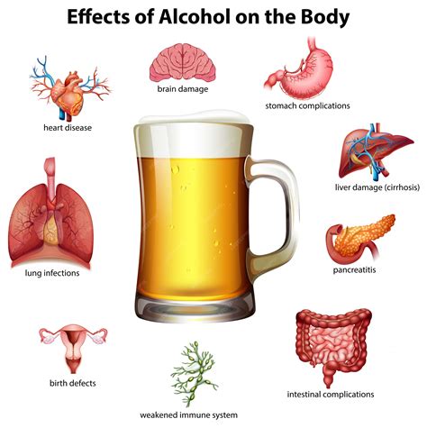Effects Of Alcohol On Liver