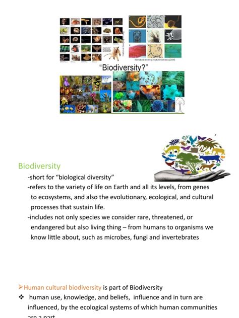 Biodiversity Notes Pdf Biodiversity Invasive Species