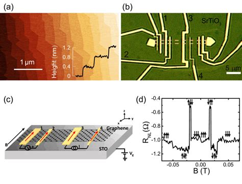 A Atomic Force Microscope Image Of A Tio2 Terminated Sto Substrate