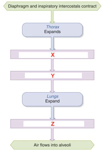 Formulas For Final Flashcards Quizlet