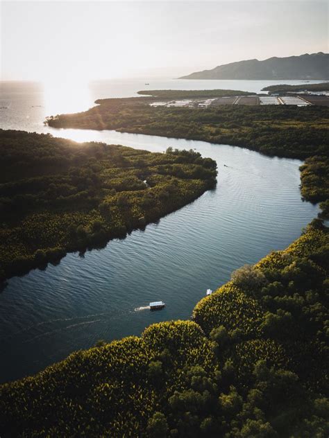 Loboc River River Bohol Philippines River Cruises