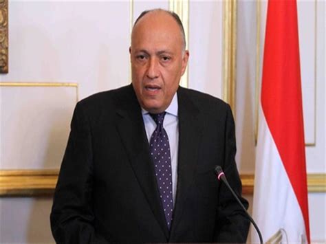شكري أمام مجلس الأمن لن نتهاون في التعامل مع أي خطر على مصر مصراوى