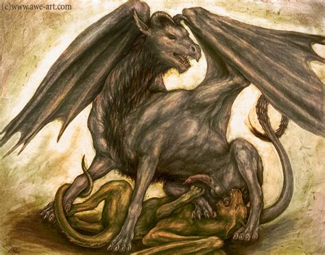 Rule 34 Ambiguous Gender Anal Awe Balls Black Scales Claws Dragon Duo