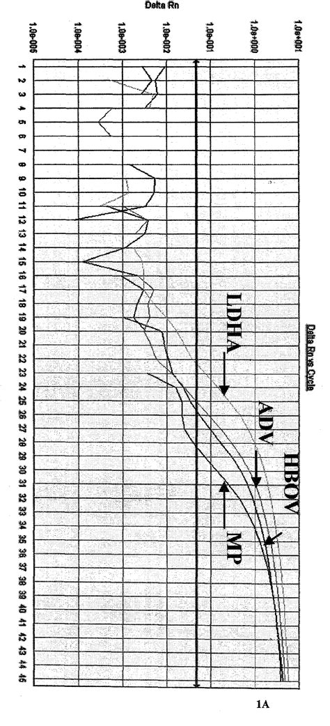 multiple fluorescent pcr method and kit for simultaneous detection of