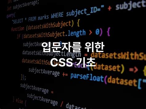 class101 프로그래밍 입문자를 위한 css 기초